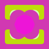 Elite Shell Professor 200